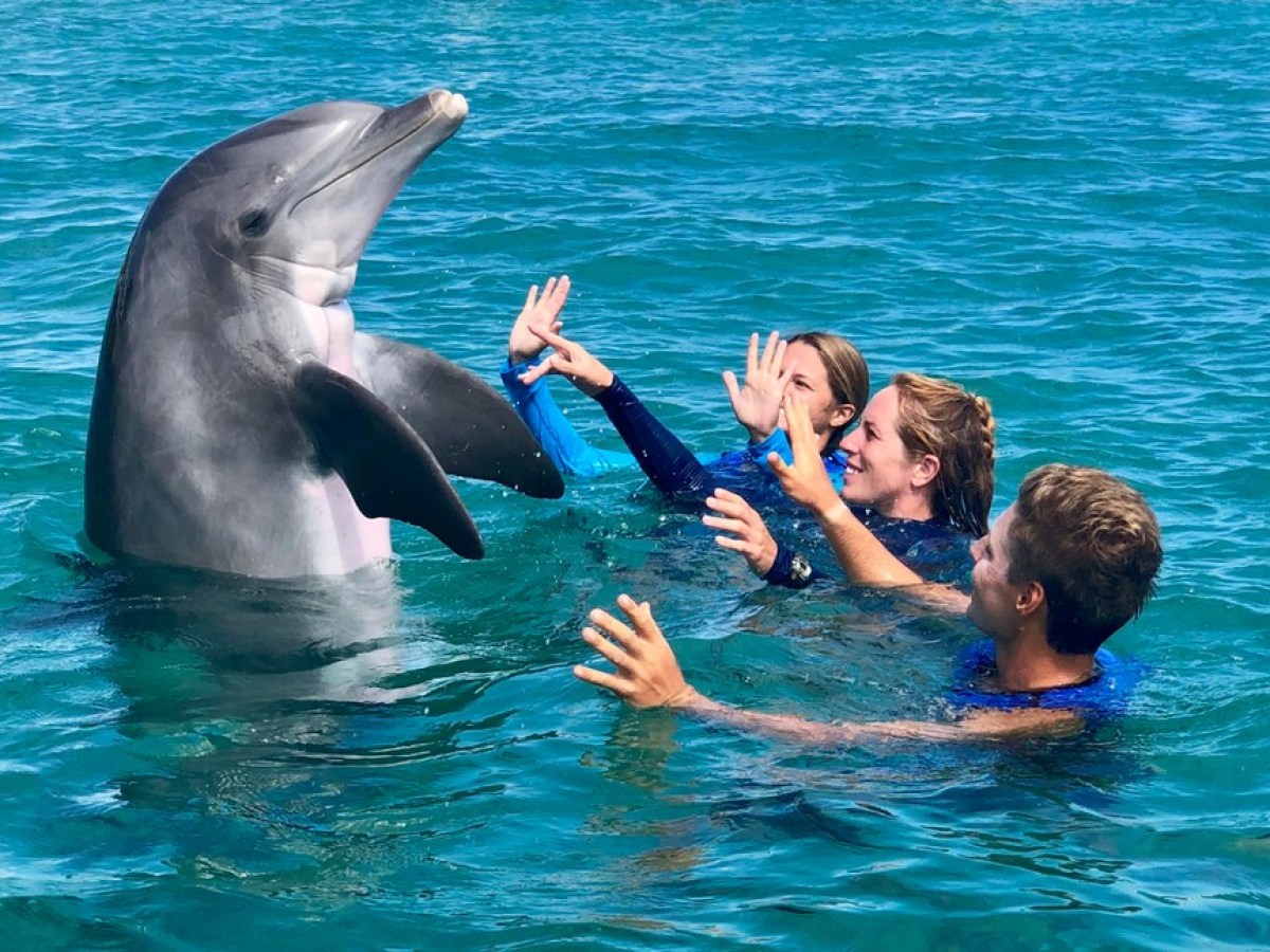 About Us | St. Thomas Activities