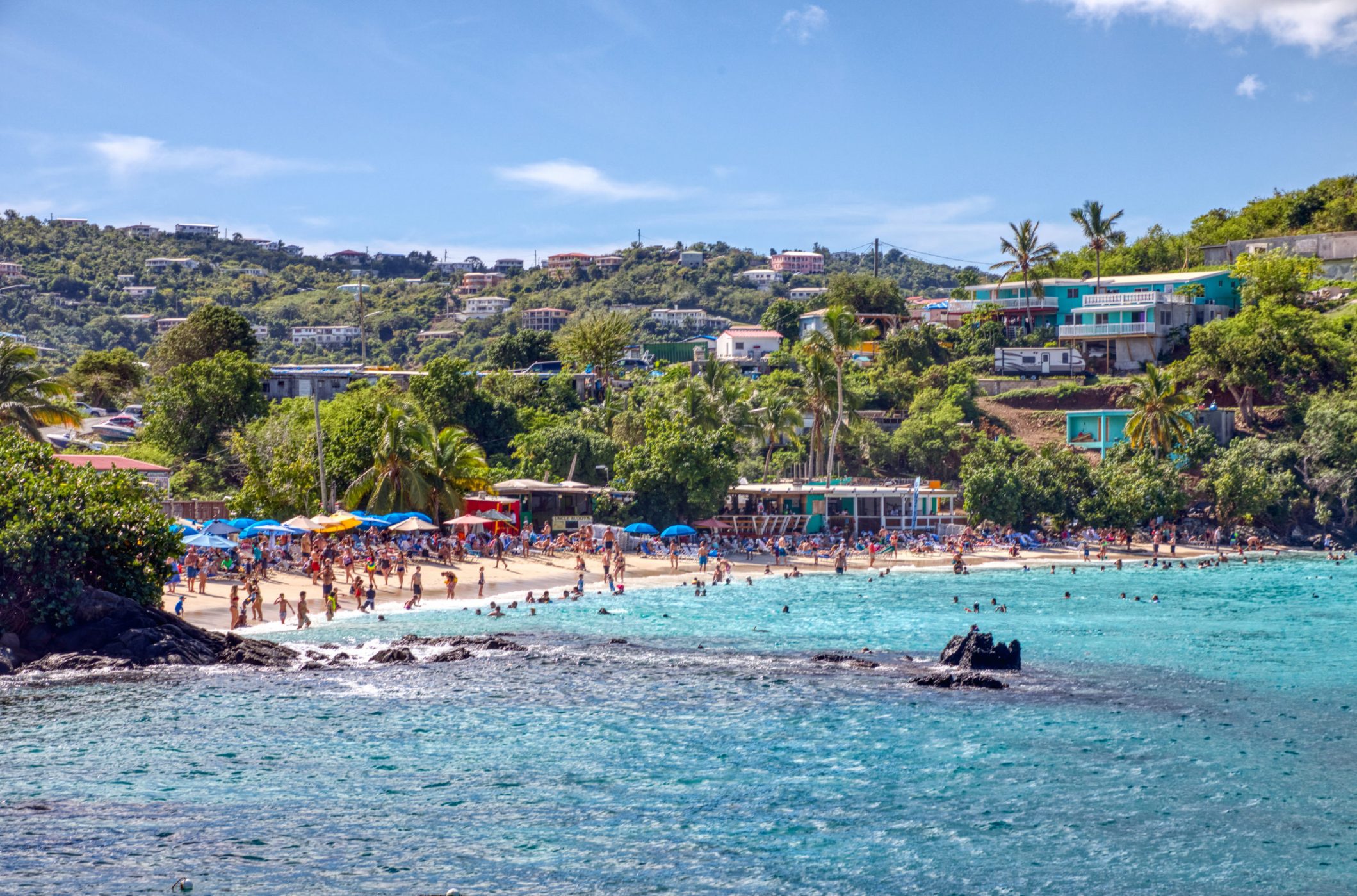 How to Swim with Dolphins in St. Thomas | St. Thomas Activities