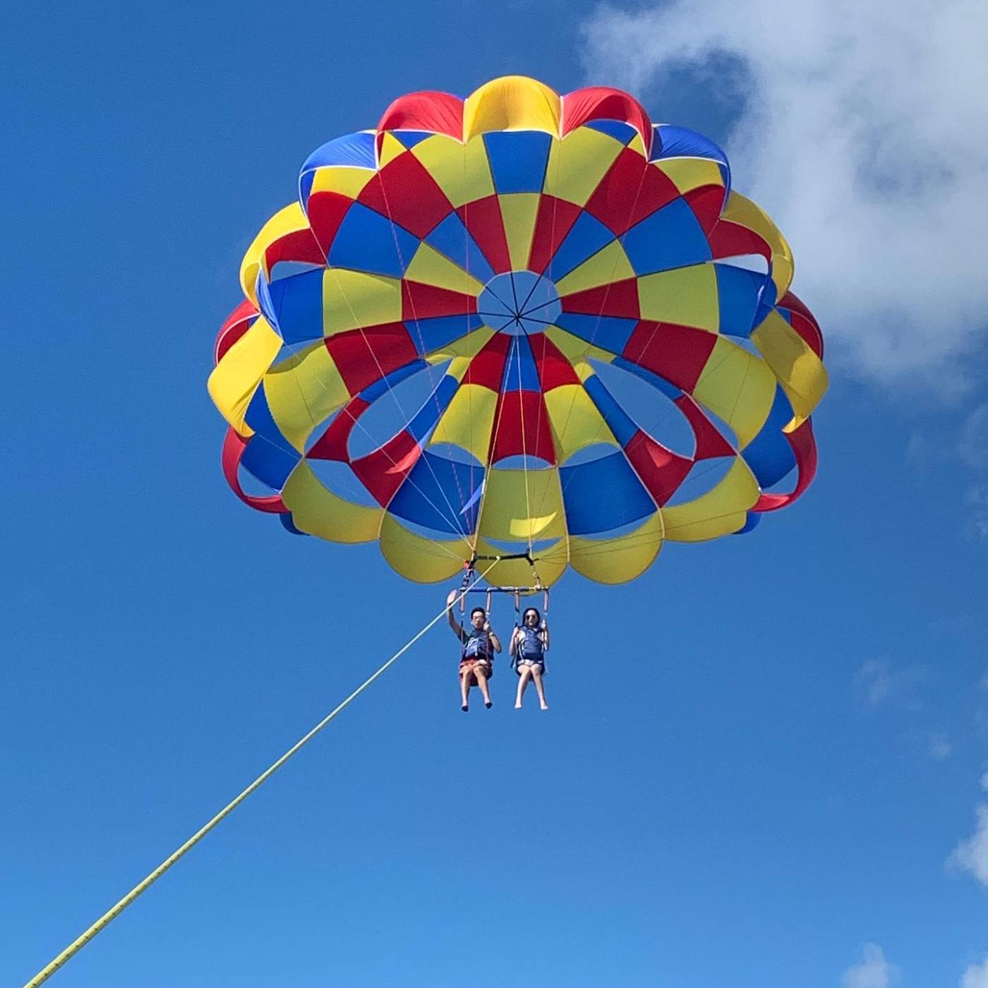 Botanical Gardens St Thomas | St. Thomas Activities, USVI